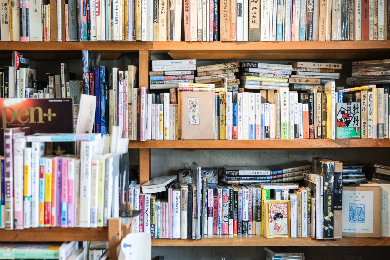 本探しの時間を楽しめる古本屋『Tweed Books』（前編） | 菊名池古民家放送局